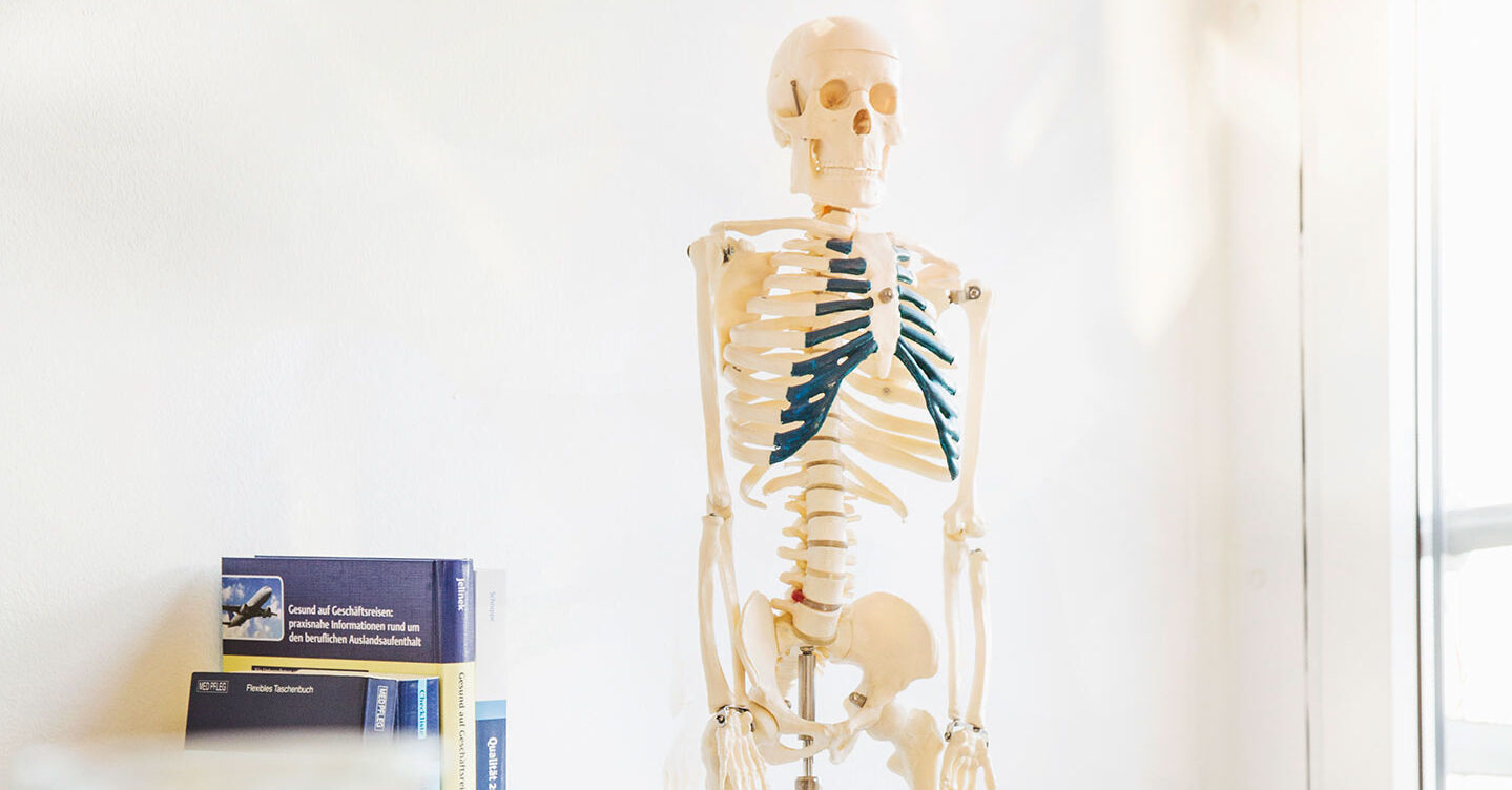 Wie viele Knochen hat ein Mensch? | SBK